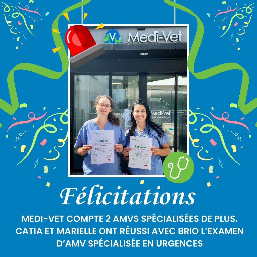 AMVs diplômées - Médi-Vet